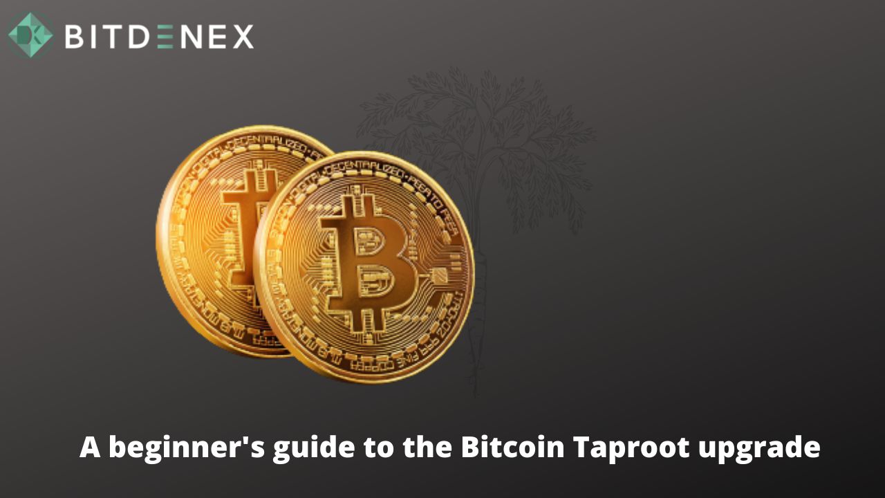 A beginner’s guide to the Bitcoin Taproot upgrade - Bitdenex
