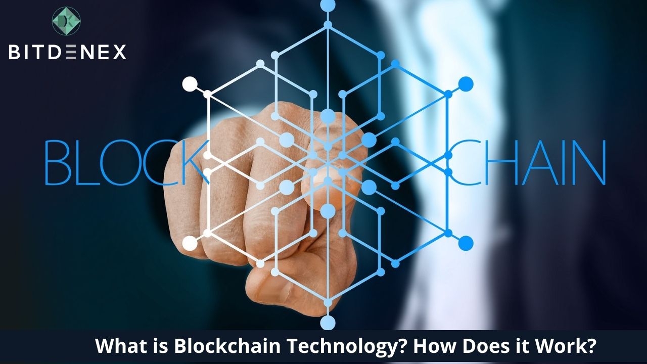 What is Blockchain Technology? How Does it Work? - Bitdenex