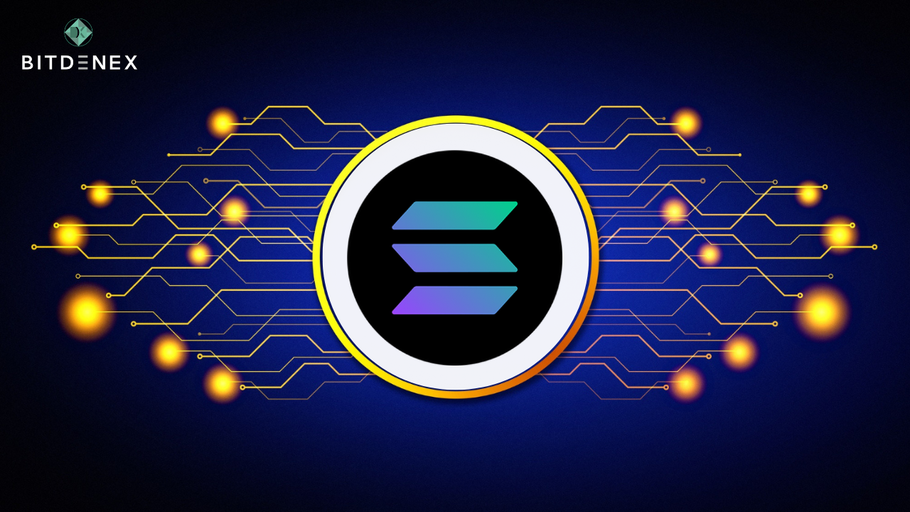 What is Solana, and how does it work? - Bitdenex