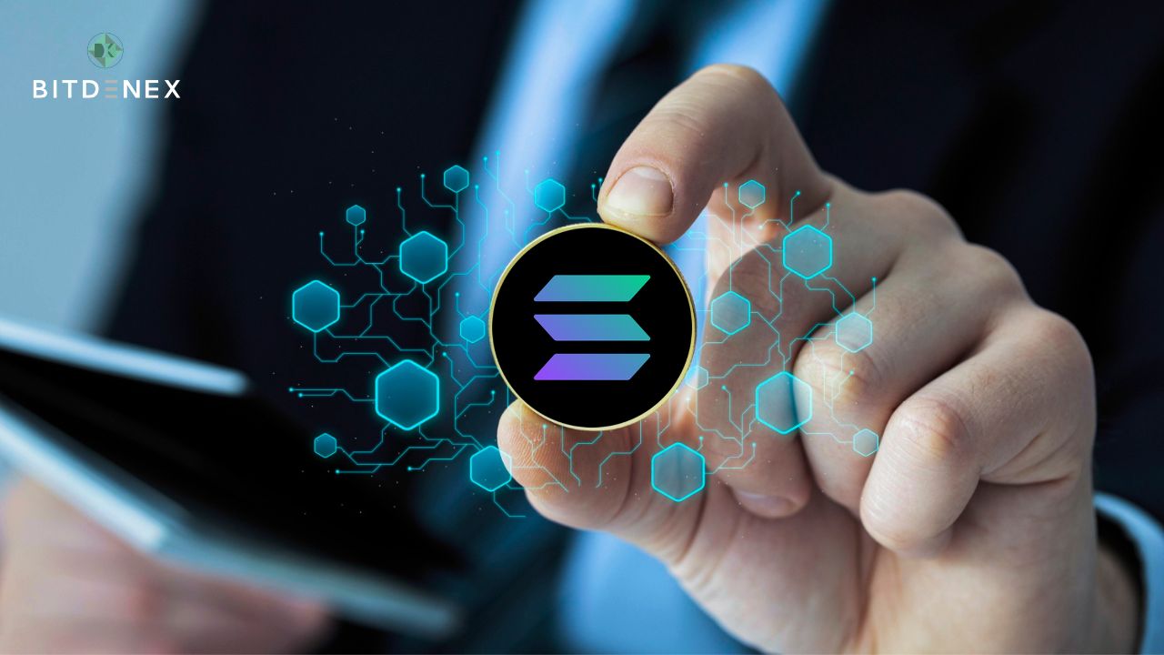 Solana (SOL) Announces New Token Launch on Its NFT Marketplace - Bitdenex